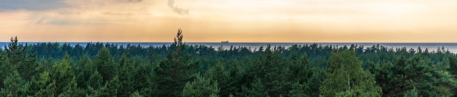 Pineta Lounge terasa - Sanatorija Gradiali